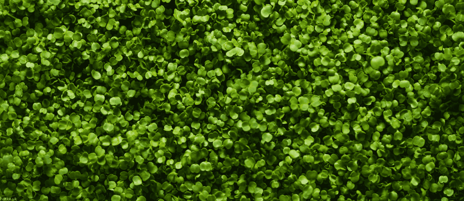 HARKE Chemlink - Harke UK & Ireland